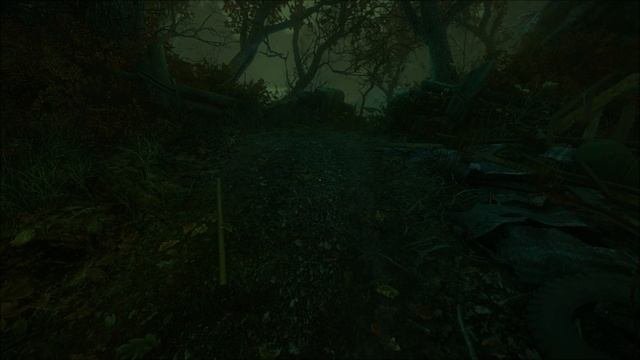 The Cursed Forest - Part 8