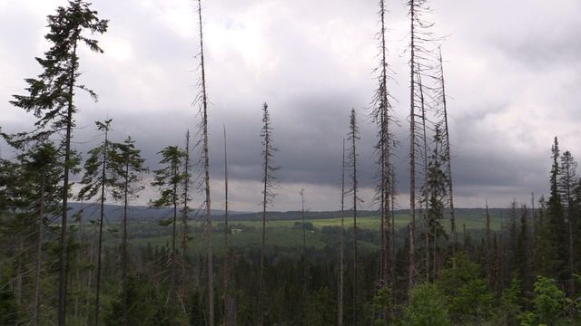 НЕ УНЫВАЙ, ДУША МОЯ.  Фильм Андрея Баженова.