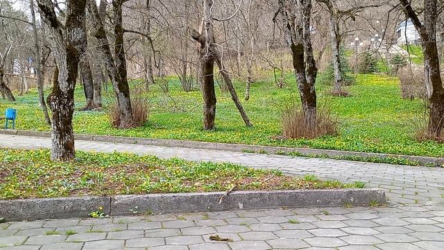 Как предпенсионерам получить стипендию ?