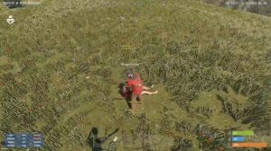 Админские будни на проекте Vostok Rust_Раст