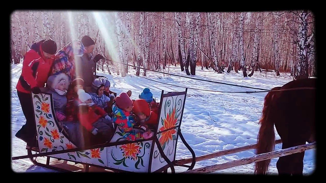 Хаски-центр Катание на собаках