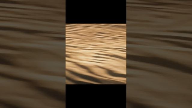 Игры с котом Рыжиком.