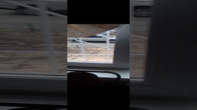 Котька и её половинка пасхального яйца.mp4
