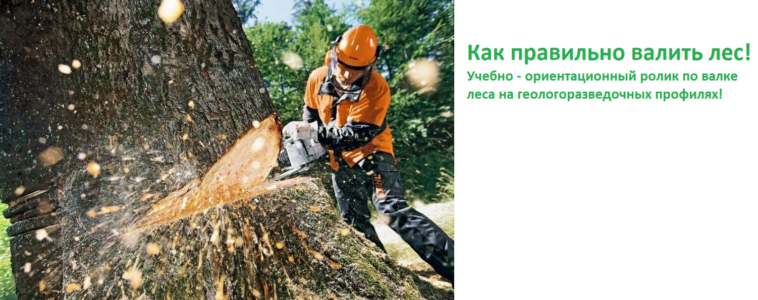 Как правильно валить лес!