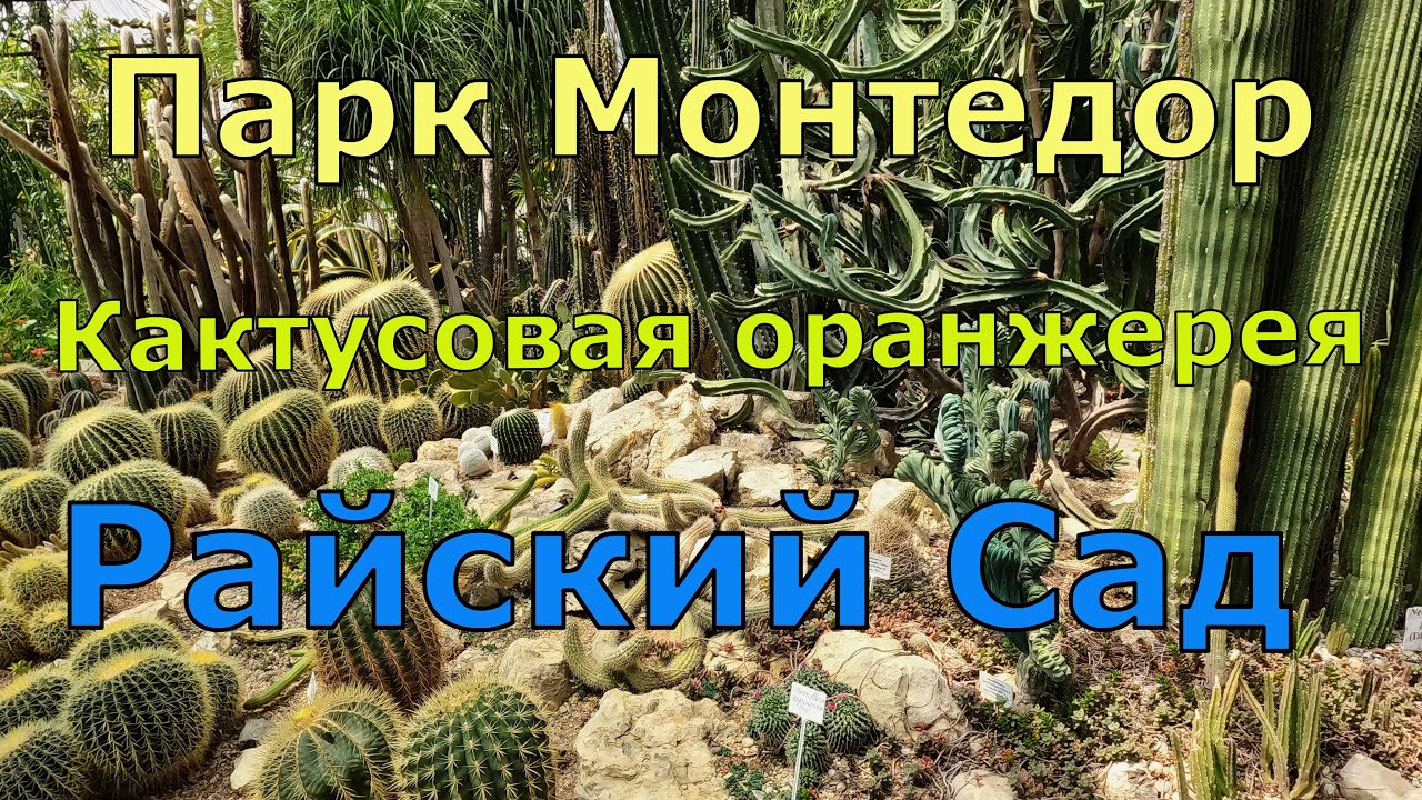 Парк Монтедор, Кактусовая оранжерея и райский сад. Крым. Май 2021