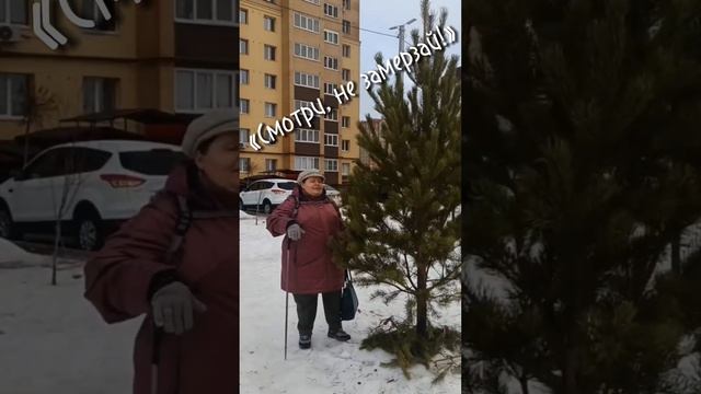 New year's mood. Новогоднее настроение.