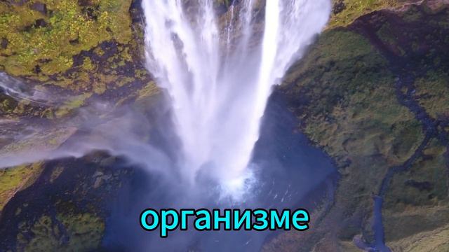 Как появились Аквабиотики