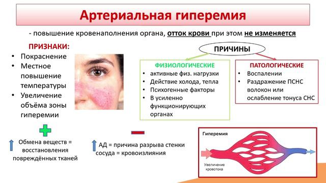 14.1. Местные расстройства кровообращения. Гиперемия