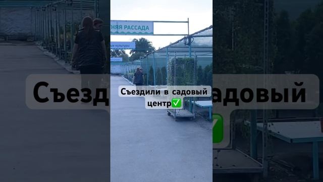 МИКСБОРДЕР?ВДОЛЬ ЗАБОРА?КЛУМБА СВОИМИ РУКАМИ☀️ #жизньвдеревне #своимируками #отпуск #стройка