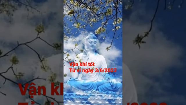 Xem Tu Vi Hang Ngay 3/6/2023 vận khí tốt #shotrs