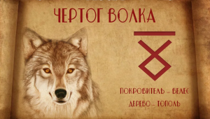 ЧЕРТОГ ВОЛКА * 25 ФЕВРАЛЯ - 22 МАРТА