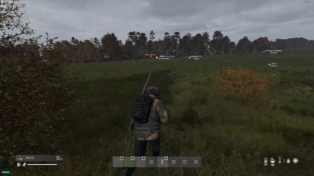 ОДНА НЕДЕЛЯ ИЗ МИРА DAYZ