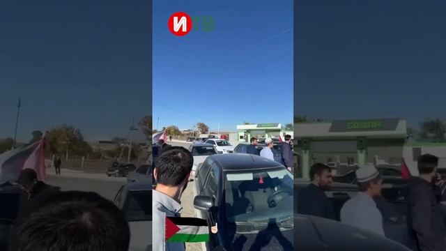 Вот он наш ДАГЕСТАН ? храни вас АЛЛАХ? Поддержка Палестины Израиль #палестина