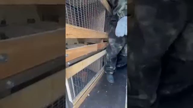 Наша доставка в Среднюю Азию