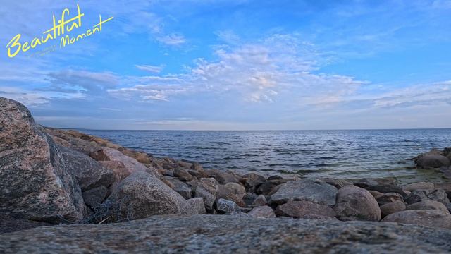 Зеленогорск. Финский залив. 910-2024 5.3K