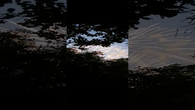 Салют на день молодёжи.