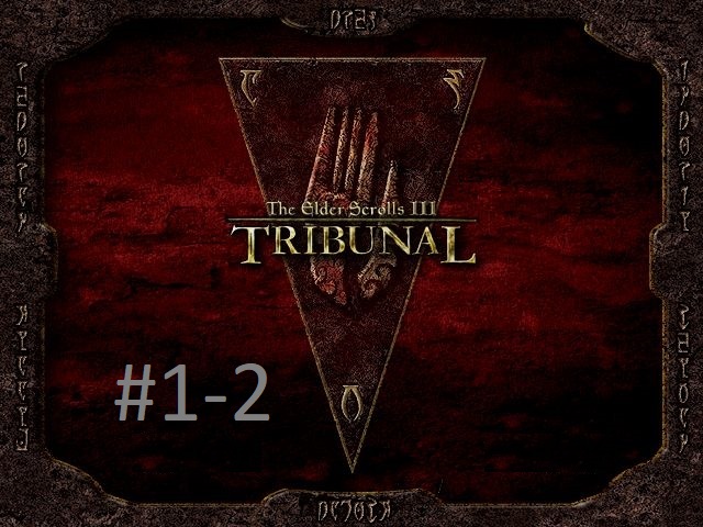 TESIII Tribunal #1-2 Вышибала.mp4