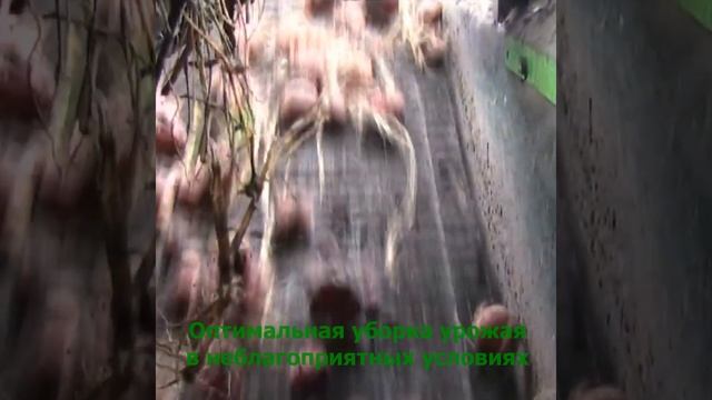 4-рядный самоходный картофелеуборочный комбайна производимый в России - Колнаг.mp4