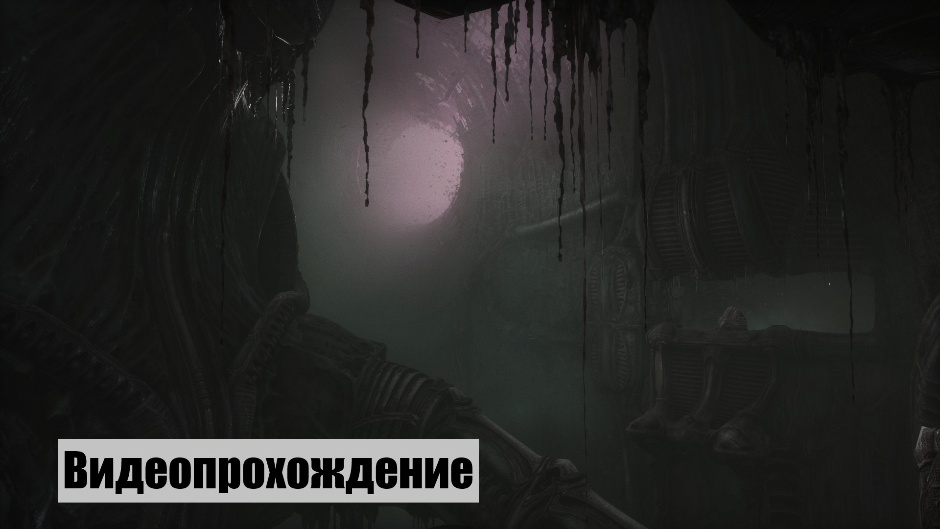 Scorn Letsplay. Часть третья
