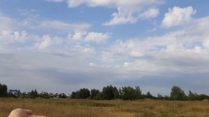 Выпускаем стрижей после выкармливания