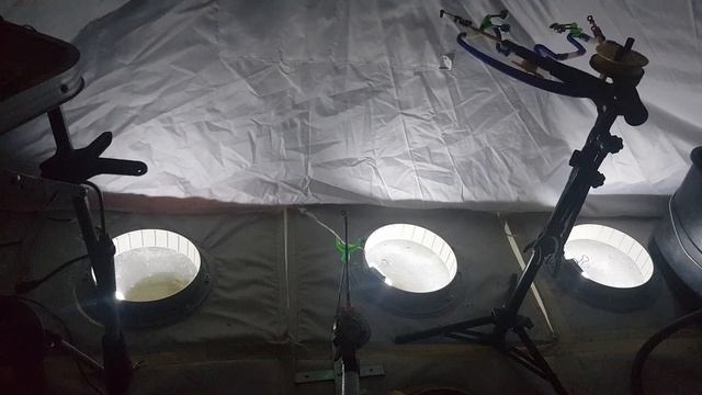 Rubalka_Zima_Palatka_22_2.mp4