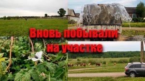 Вынос границ земельного участка в натуру
