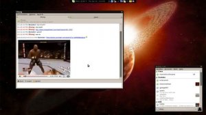 Pidgin Embedded Video - Linux Mint 8