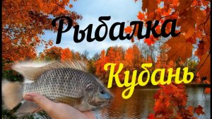 Рыбалка на фидер тёплое русло Кубани Тилапия  Осень Краснодар