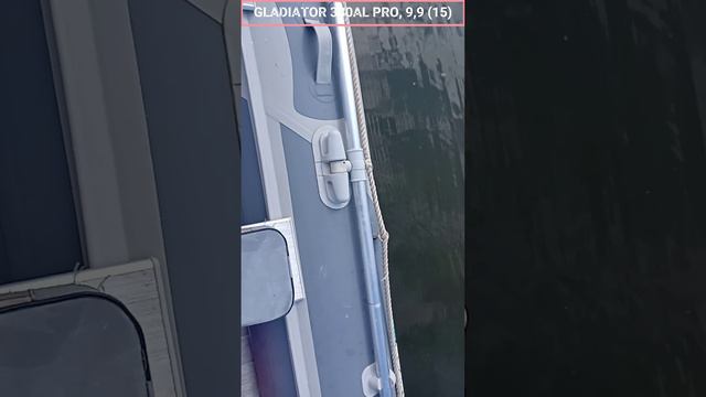 Мой 3ий сезон GLADIATOR 330 AL PRO ,9.9 (15)