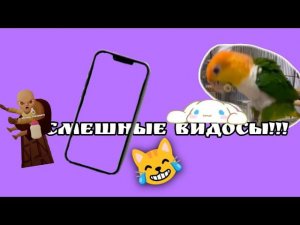 Смотрим смешные видео с Линой но если засмеёшься выполняем✨ задание с рулетки