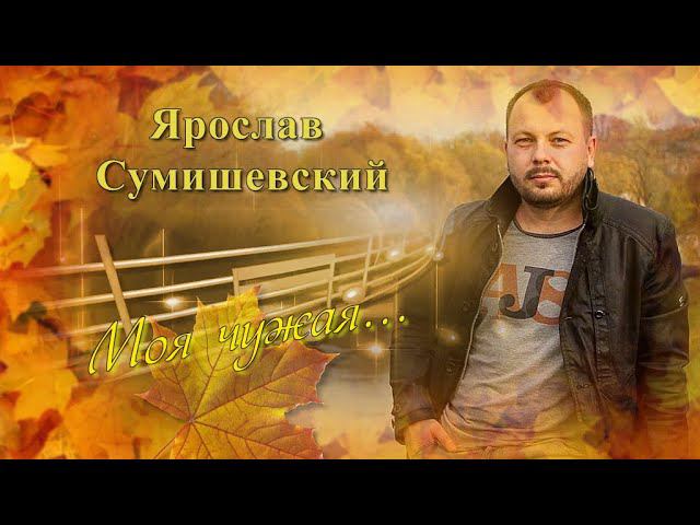 Песня |Моя чужая |Я  Сумишевский  |Осеннее Танго// 16+