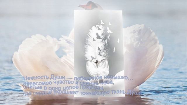 Нежность — это то, что так сложно объяснить словами!......avi