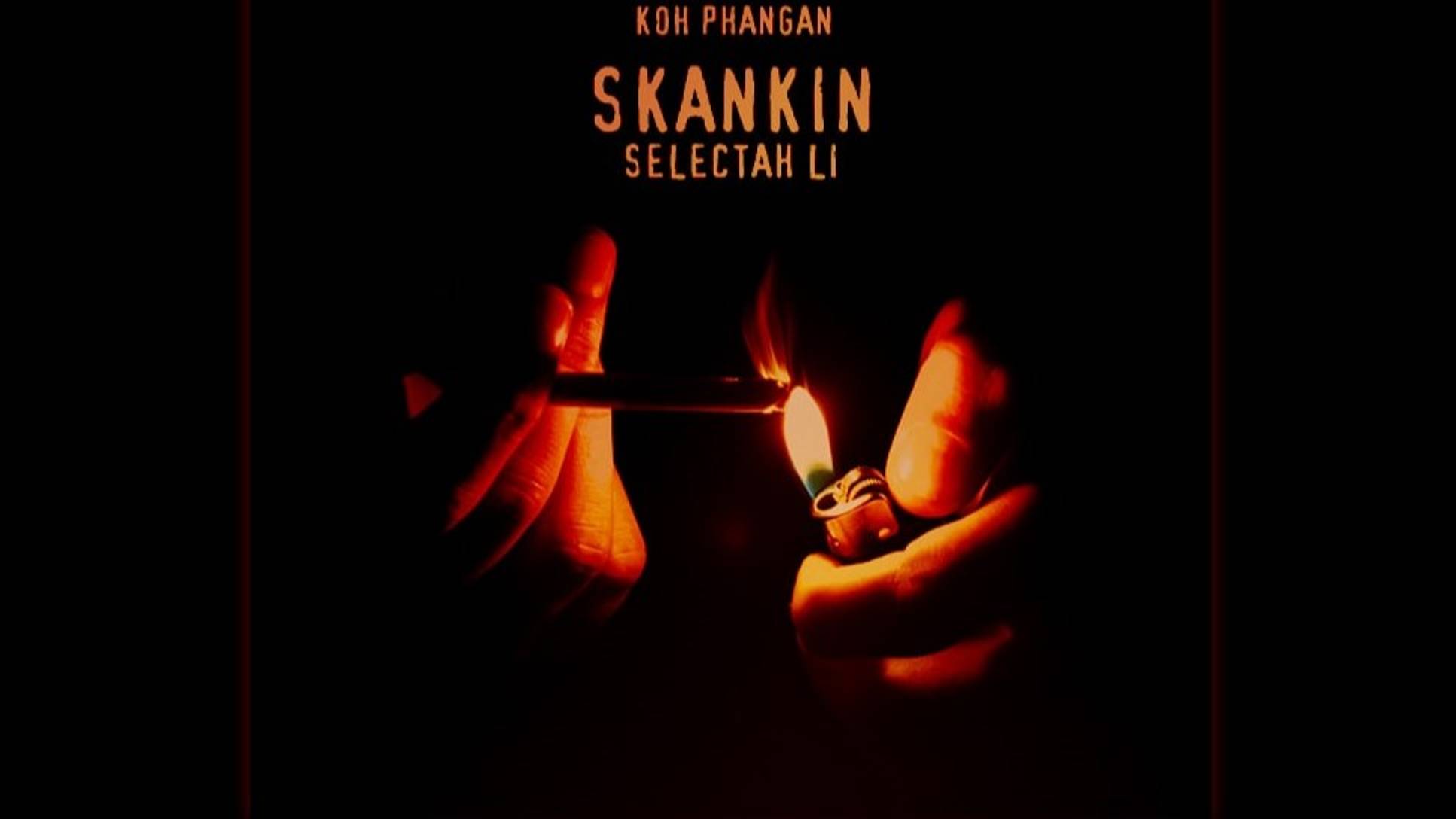 Skankin (dub, reggae, dance hall, rasta, stepper)