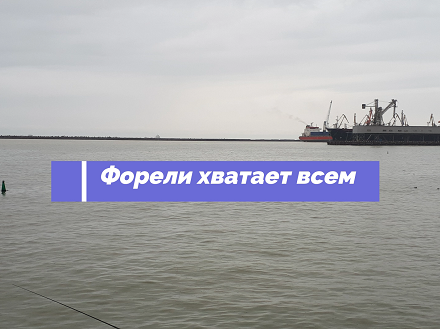 Туапсе 09.02.2022 набережная порта: форели хватает на всех рыбаков.