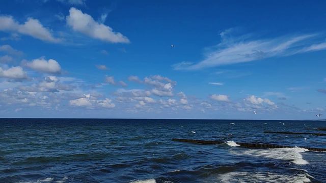 Воскресни в моих мечтах
