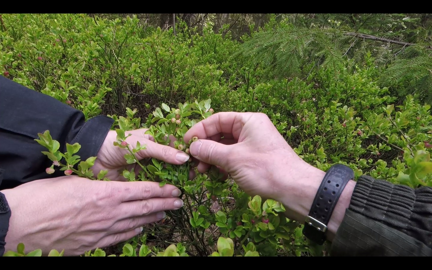 Записки инструктора #5