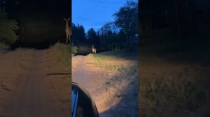 Едем на рыбалку