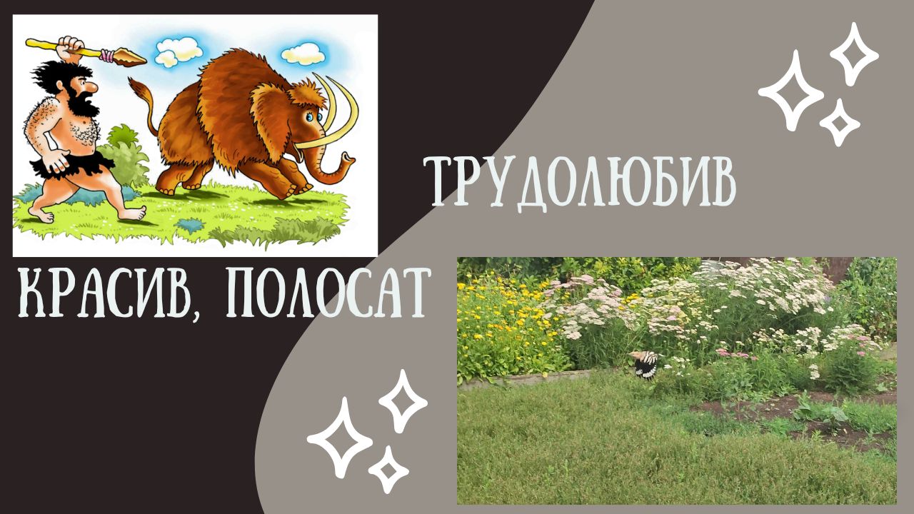 Пернатый добытчик