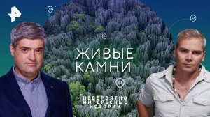 Живые камни — Невероятно интересные истории (25.09.2023)