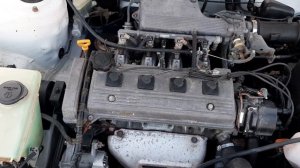 Corolla Ceres (хентаец)?✌