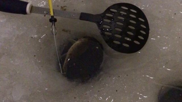 Он не хотел от нас уходить