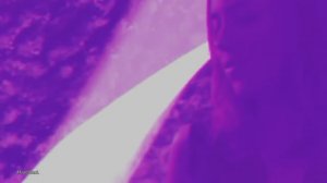 Bad Habits _ Music Box L Video