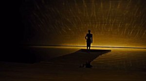 The beauty of Bladerunner 2049