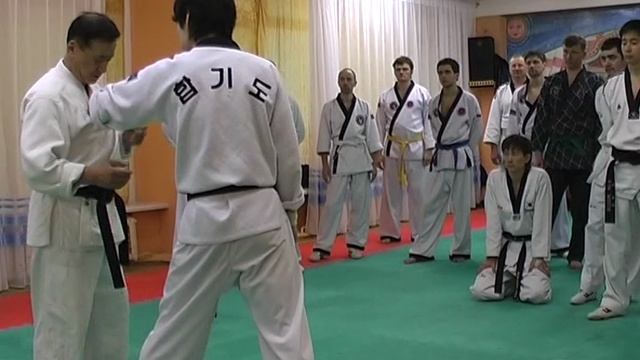 8. 1 семинар по хапкидо в России ГМ Ким Нам Джи - Москва 2008 г