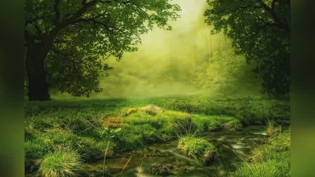 Лесные звуки.mp4