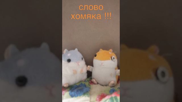 хомяки не извеняются !!!