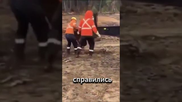 не заменимый работник