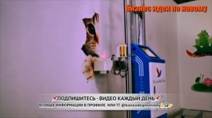 Бизнес идея 2023-2024. Принтер для печати на стенах. Бизнес идеи по новому
