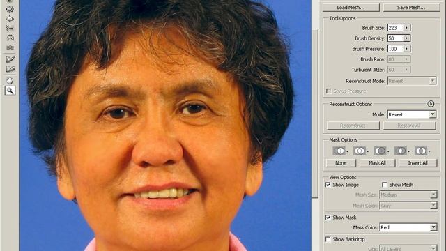 13. Инструмент Liquify. Коррекция портрета с его помощью.avi