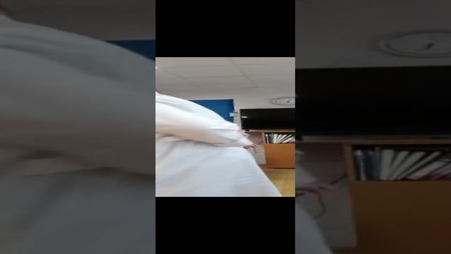 Занятие 97